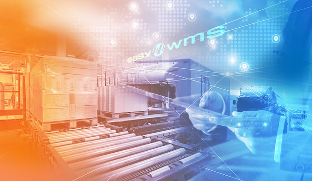 Logistica internazionale: cos’è e le sue caratteristiche - Mecalux.it