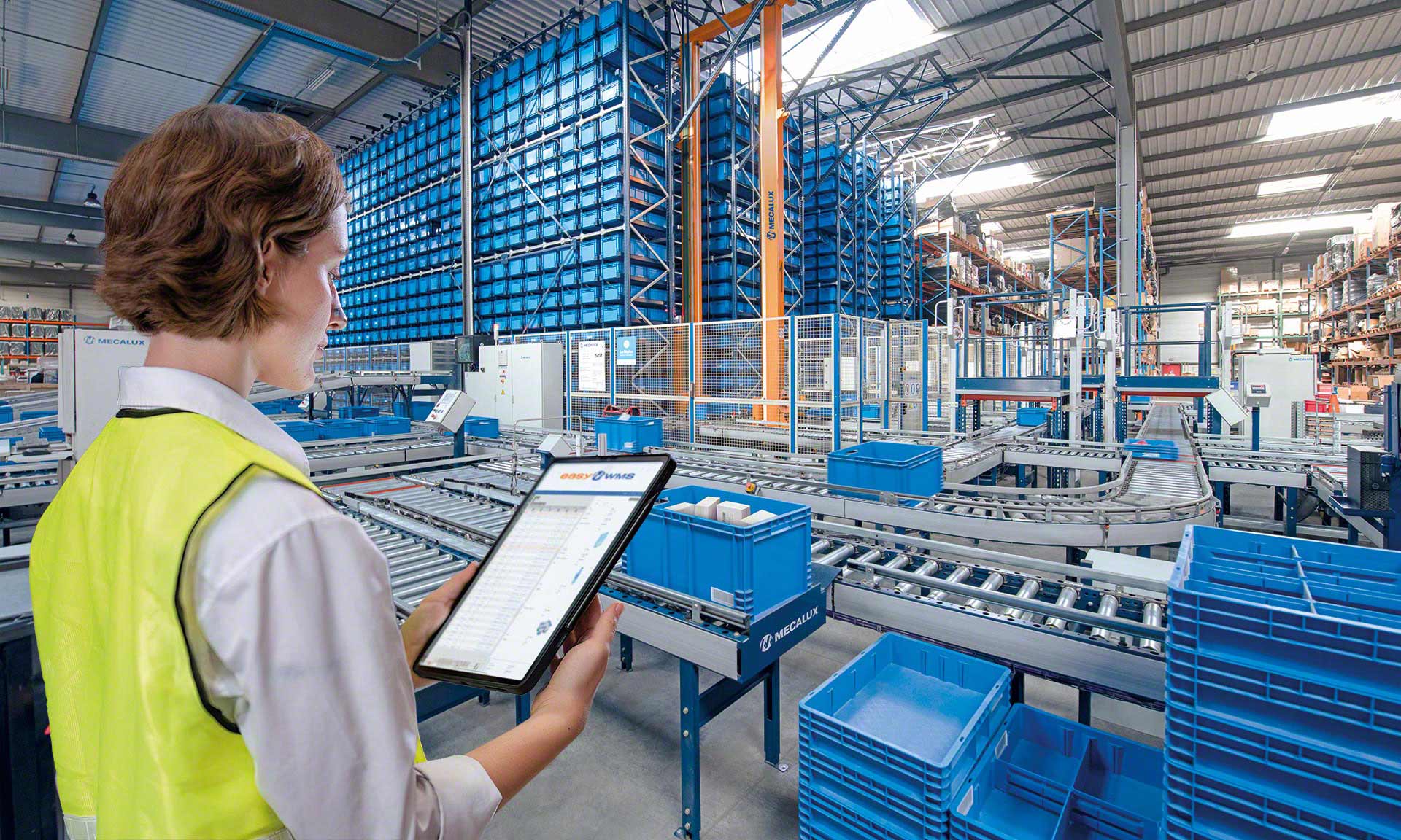 Stock obsoleto: cos'è ed esempi per evitarlo - Mecalux.it